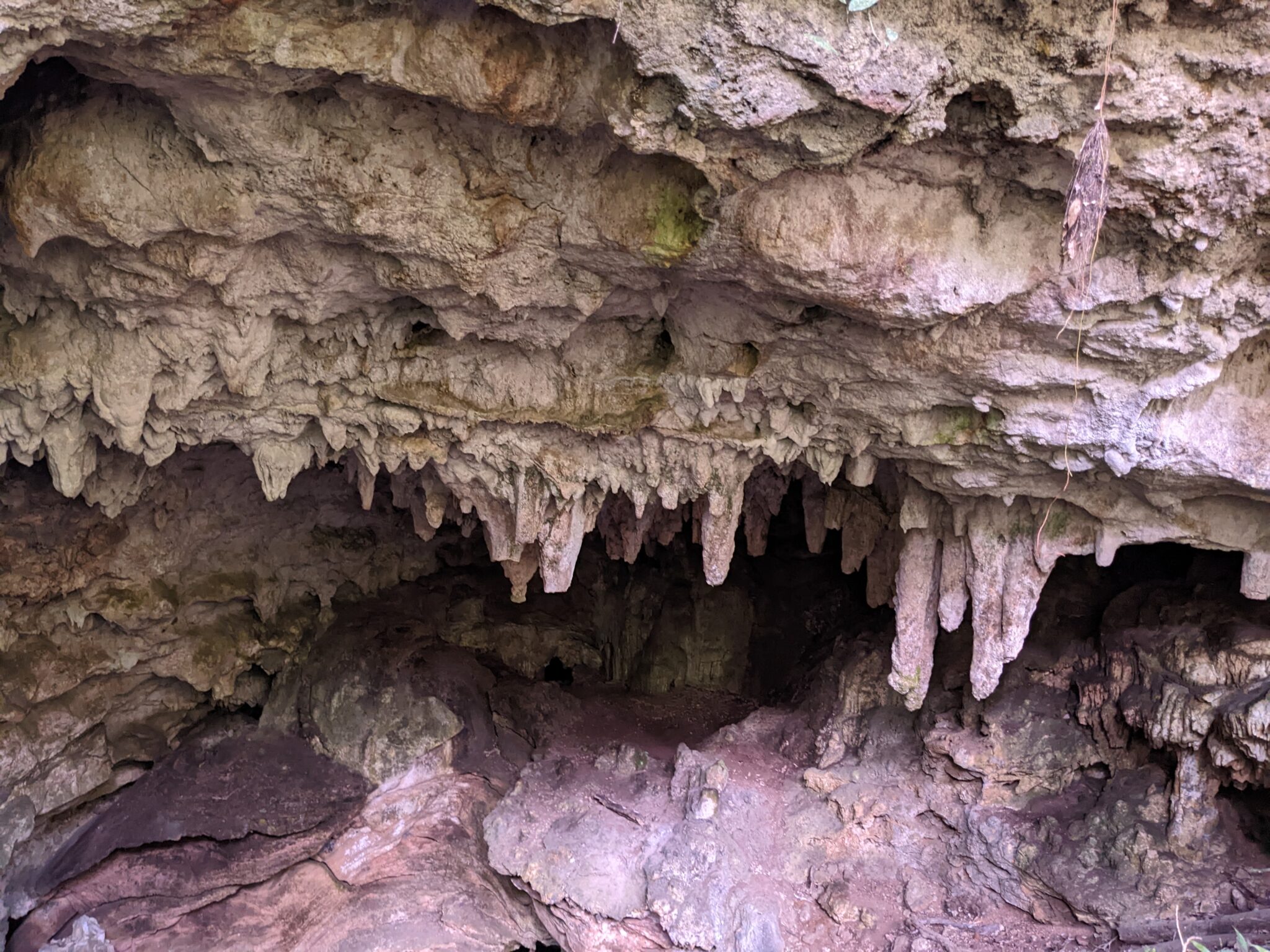 Adventures One Week In Belize Travel Guide | Vibrant Dreamer