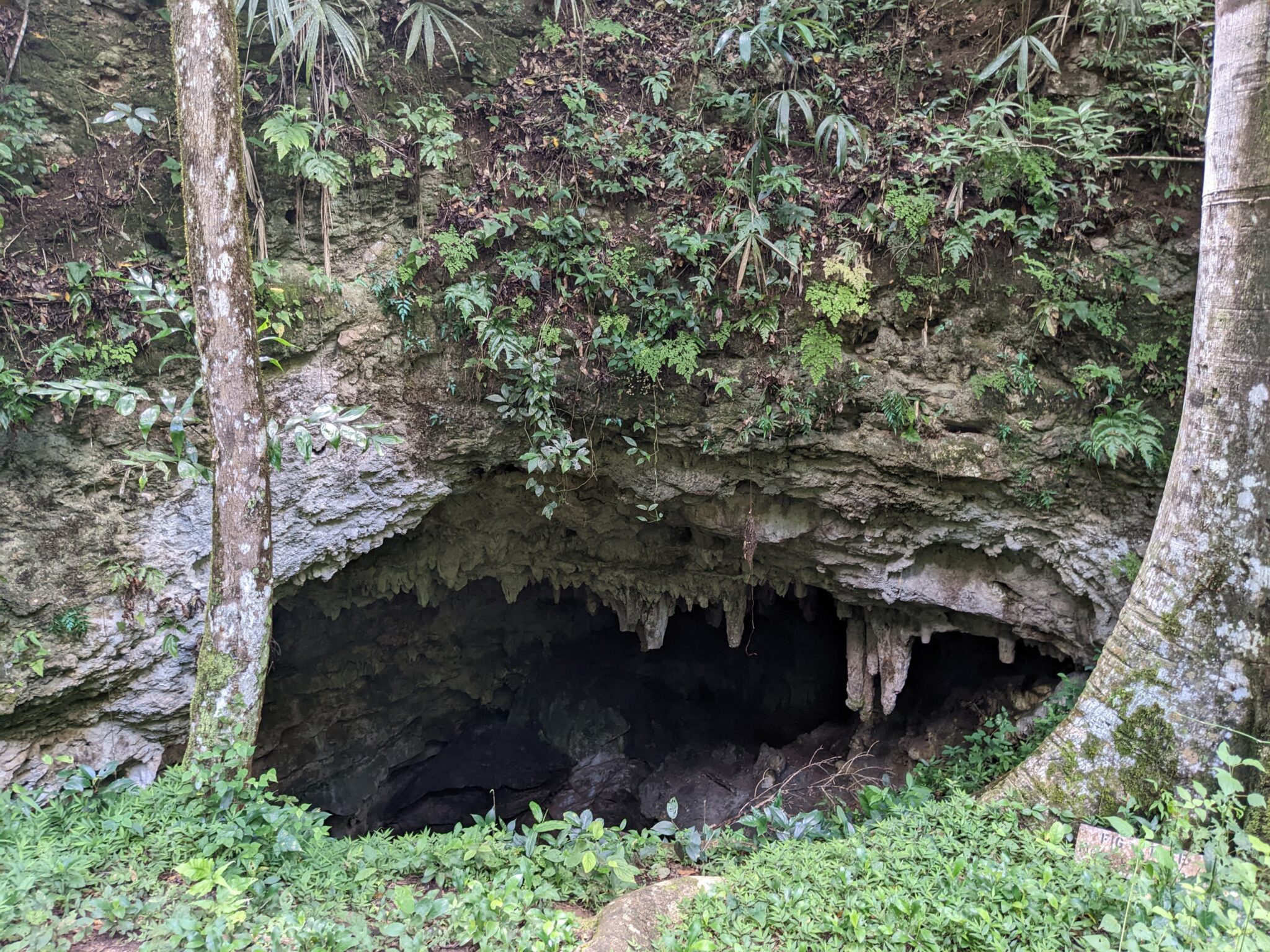 Adventures One Week In Belize Travel Guide | Vibrant Dreamer