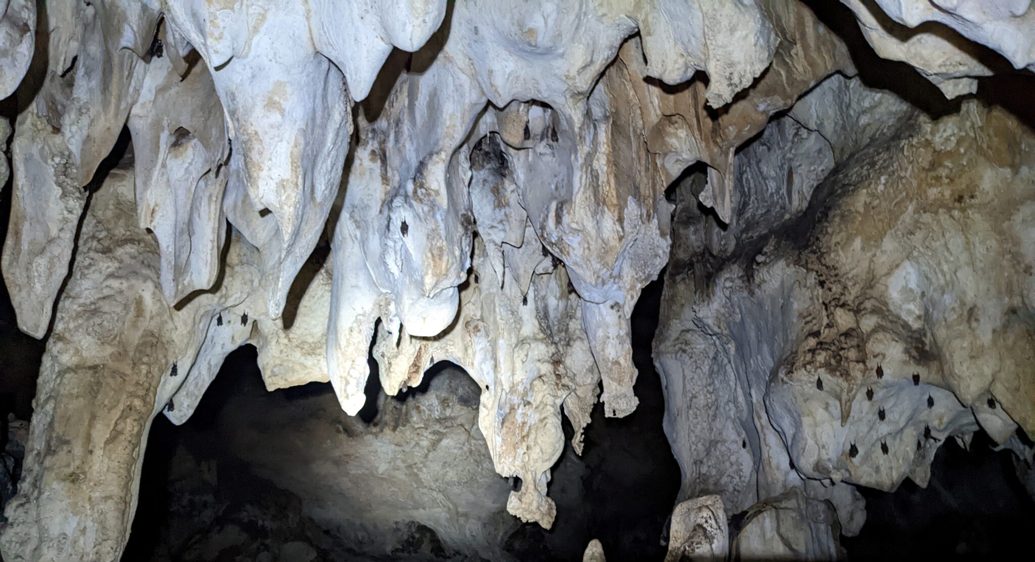 Adventures One Week In Belize Travel Guide | Vibrant Dreamer